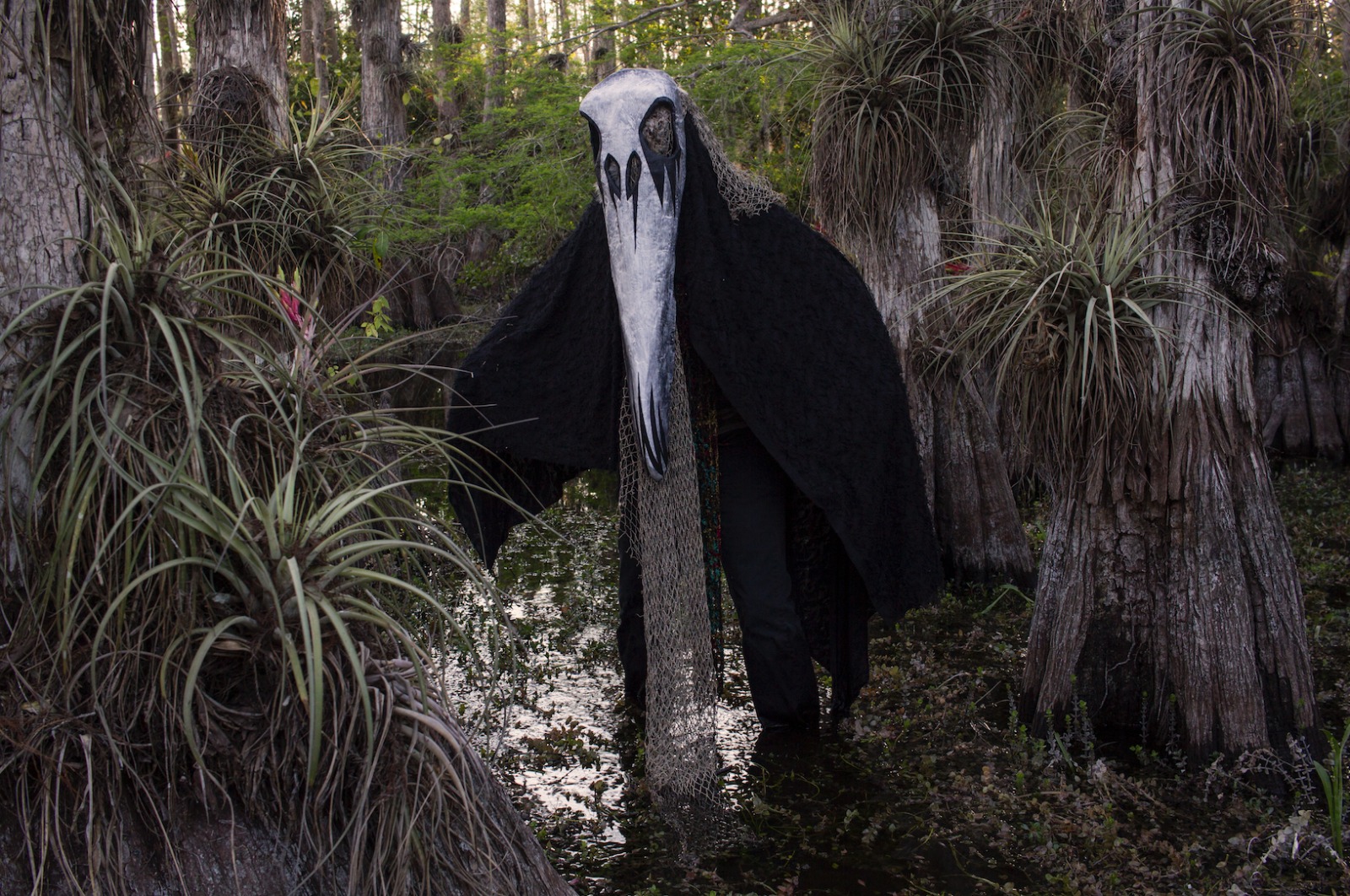 Jym Davis and his wearable art in 3 questions – BantMag