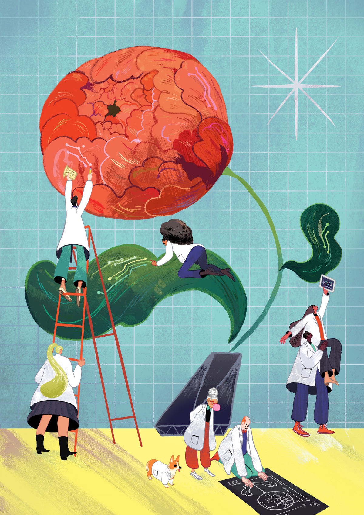 Web Galeri: Kim Salt - bant mag