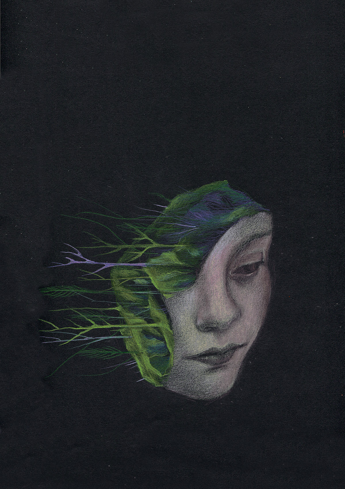 Web Galeri: Alice Wellinger - bant mag