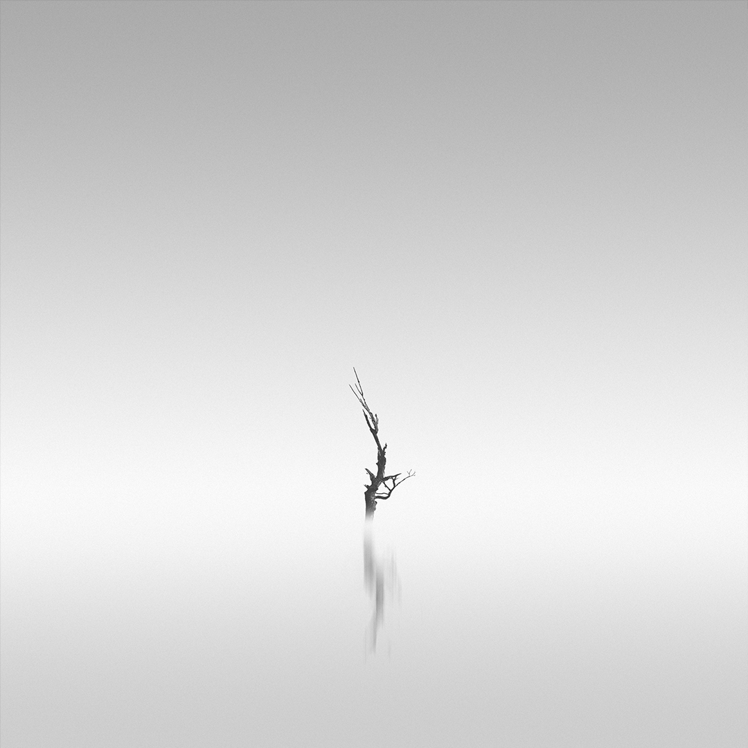 Web Galeri: Kevin Saint Grey - bant mag