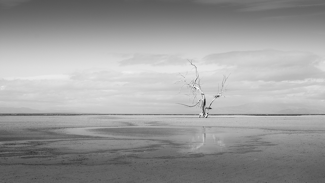 Web Galeri: Kevin Saint Grey - bant mag