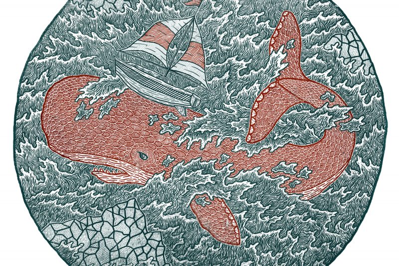 Web Galeri: Bruce Mackay - bant mag