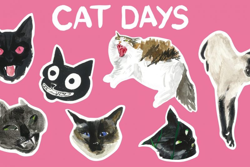 Kedilerin günlük yaşantılarını sayfalarına taşıyan kitap: “Cat Days ...
