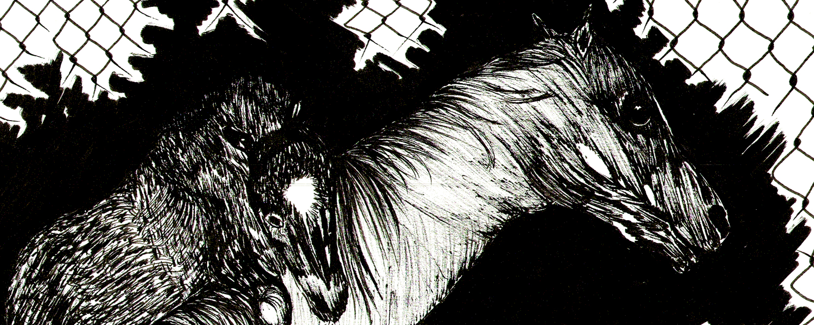 Kendiliğinden oluşan bütün: Hare Sürel - bant mag