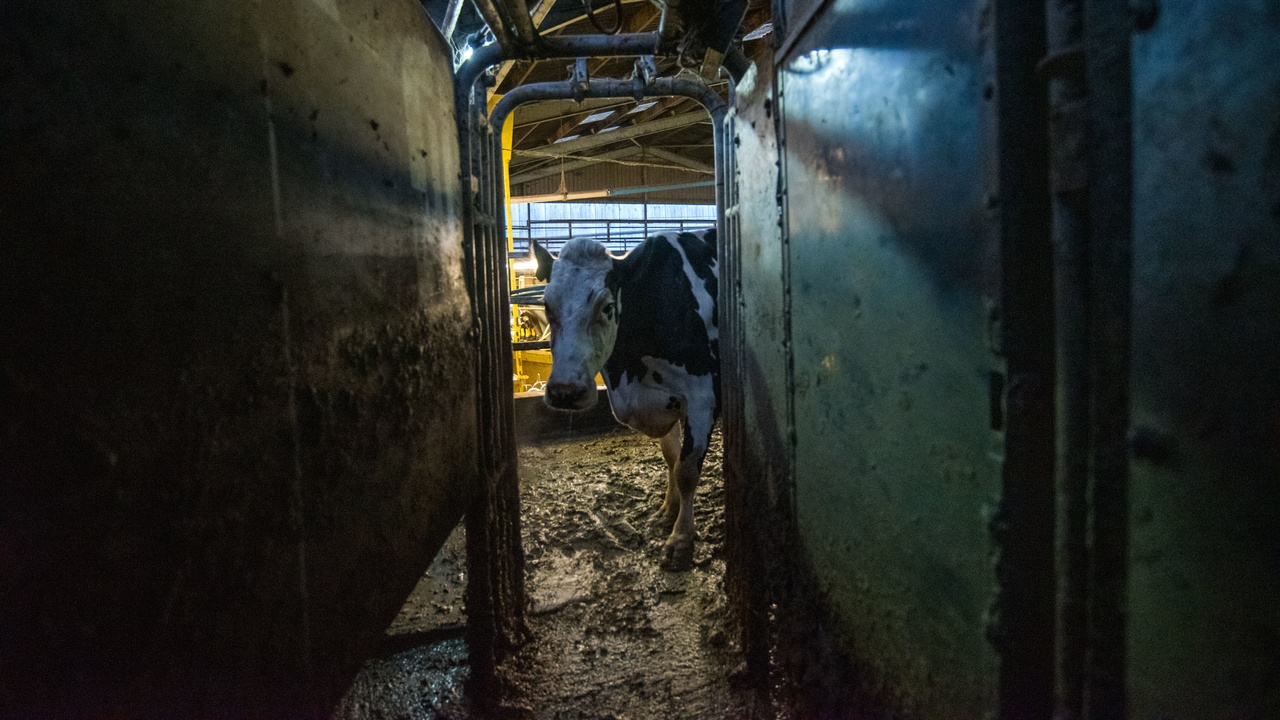 2021: En iyi 40 yabancı belgesel / belgesel serisi - bant mag