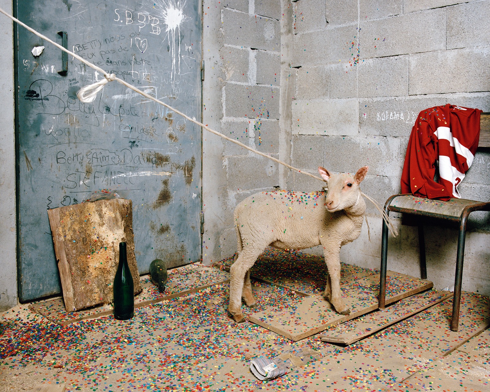 Thomas Rousset ve bir aile çiftliğinin büyülü potansiyeli - bant mag