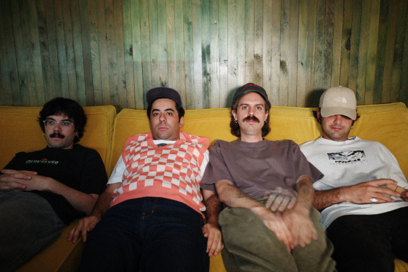 Hav Hav!: Teenage Kicks - bant mag