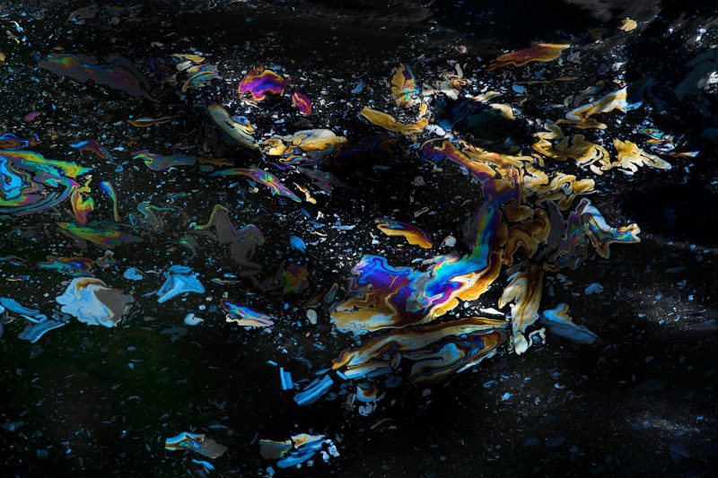 Web Galeri: Steven Hirsch - bant mag