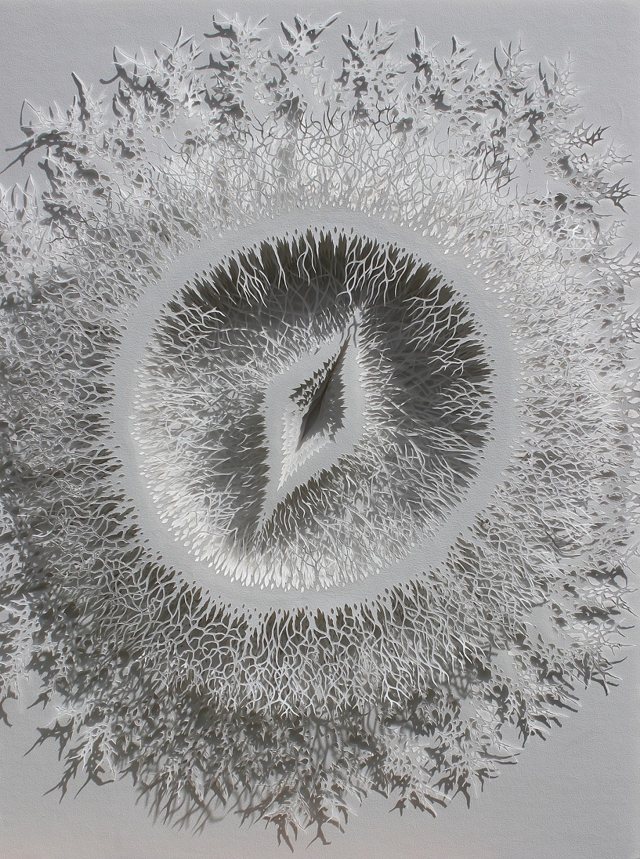 Web Galeri: Rogan Brown - bant mag